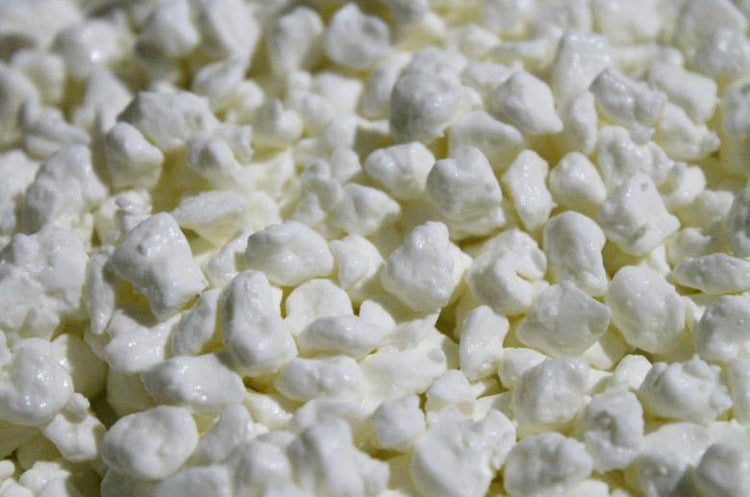 Gentle Remedies: Cottage Cheese for Dogs with Diarrhea – Under the Weather